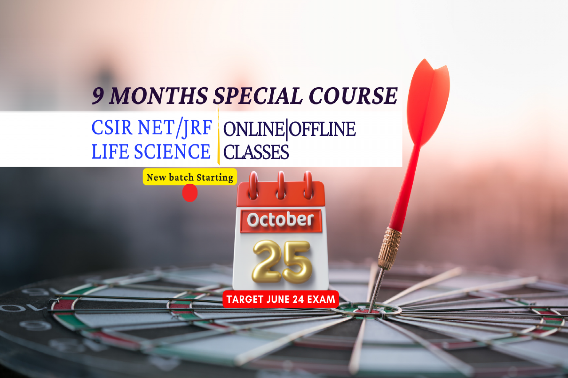 Catalyst Center Of Excellence